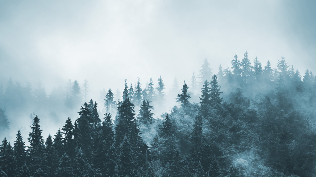 Sustainability - Hammarplast Medical